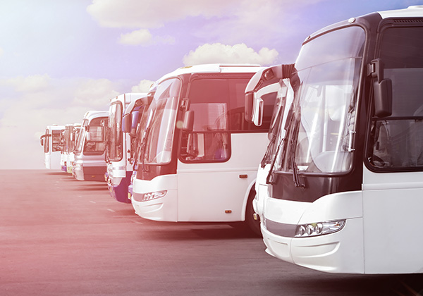 TripKee – Activity and Tour Booking Software Made Easy – Smart Booking ...