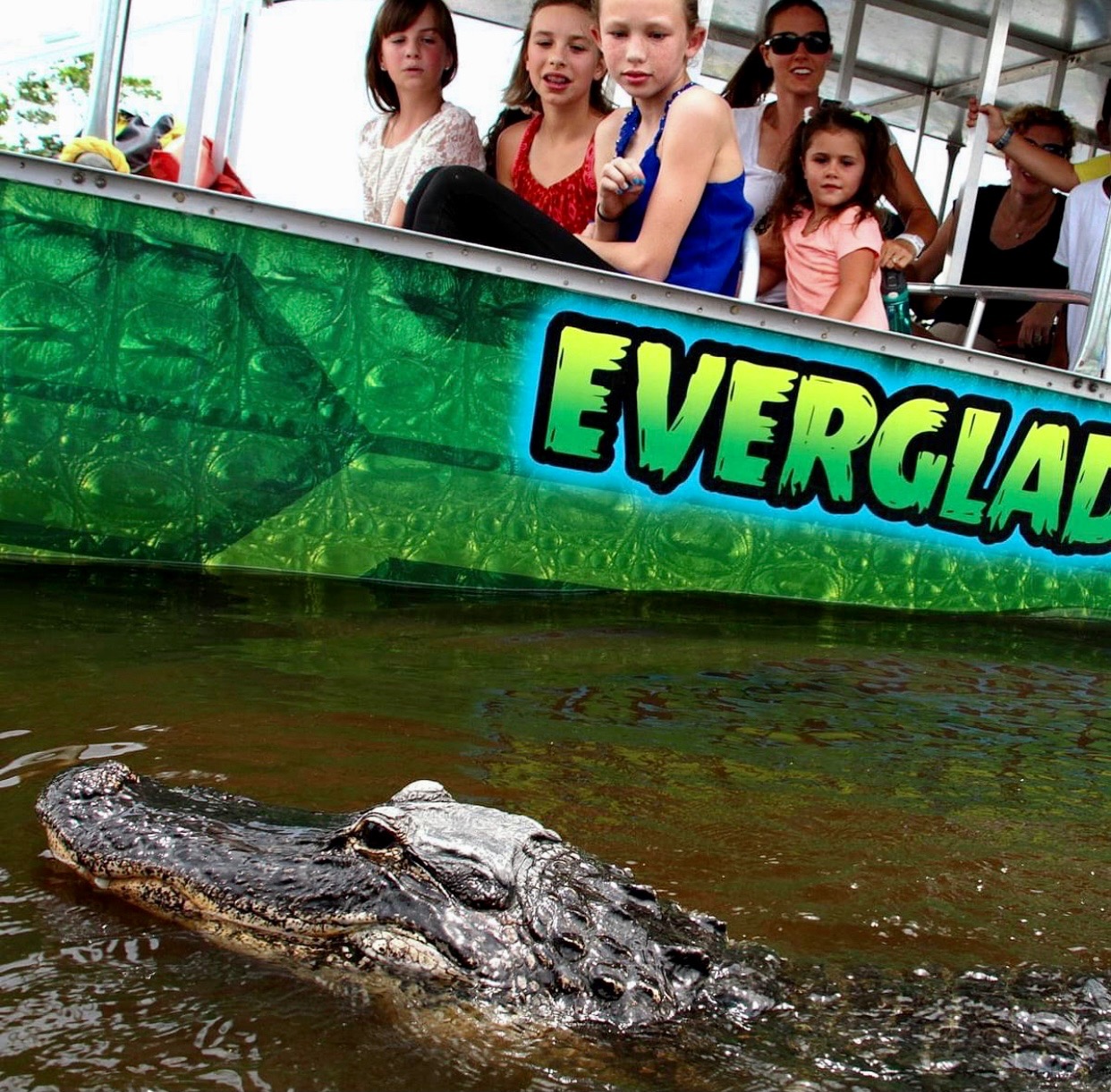 6 Best Outdoor Adventures in Florida This Winter – TripKee – Activity ...